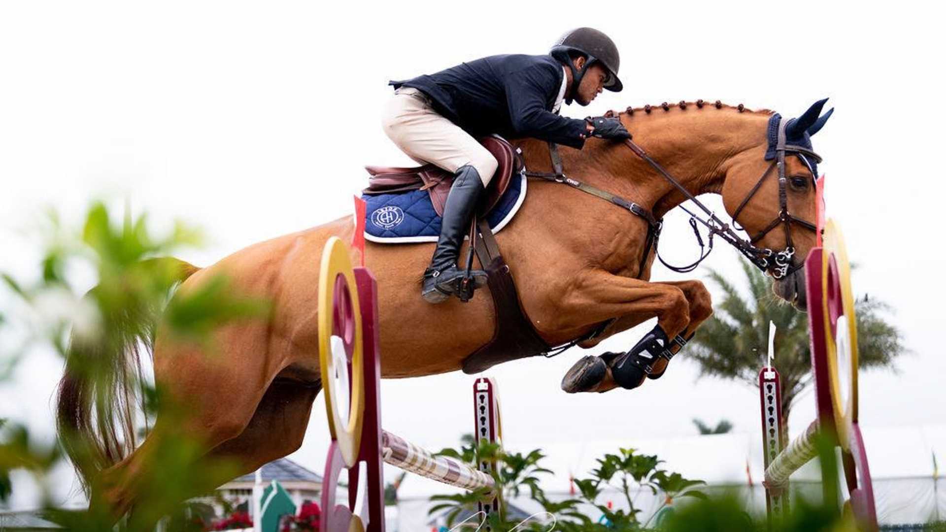 Arion HST riders who trust us | #TEAMARION