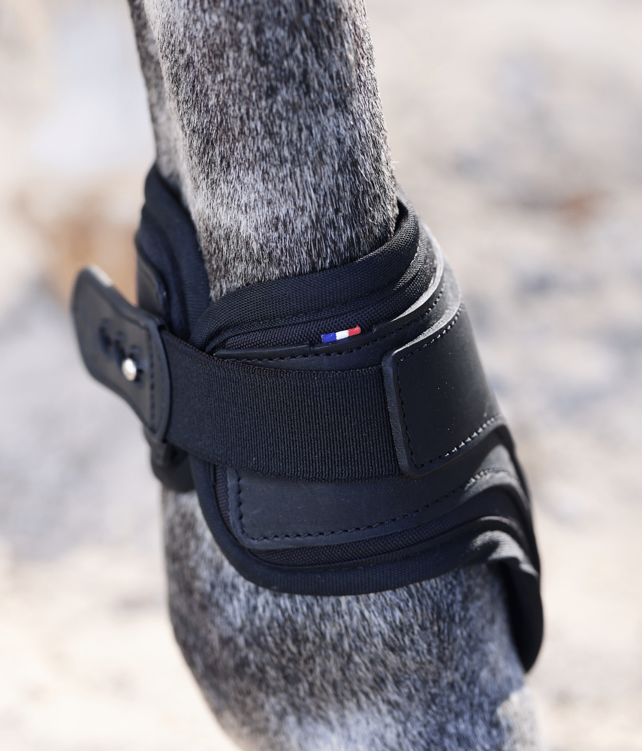 Hind Show Jumping Boots | Arion Sellier