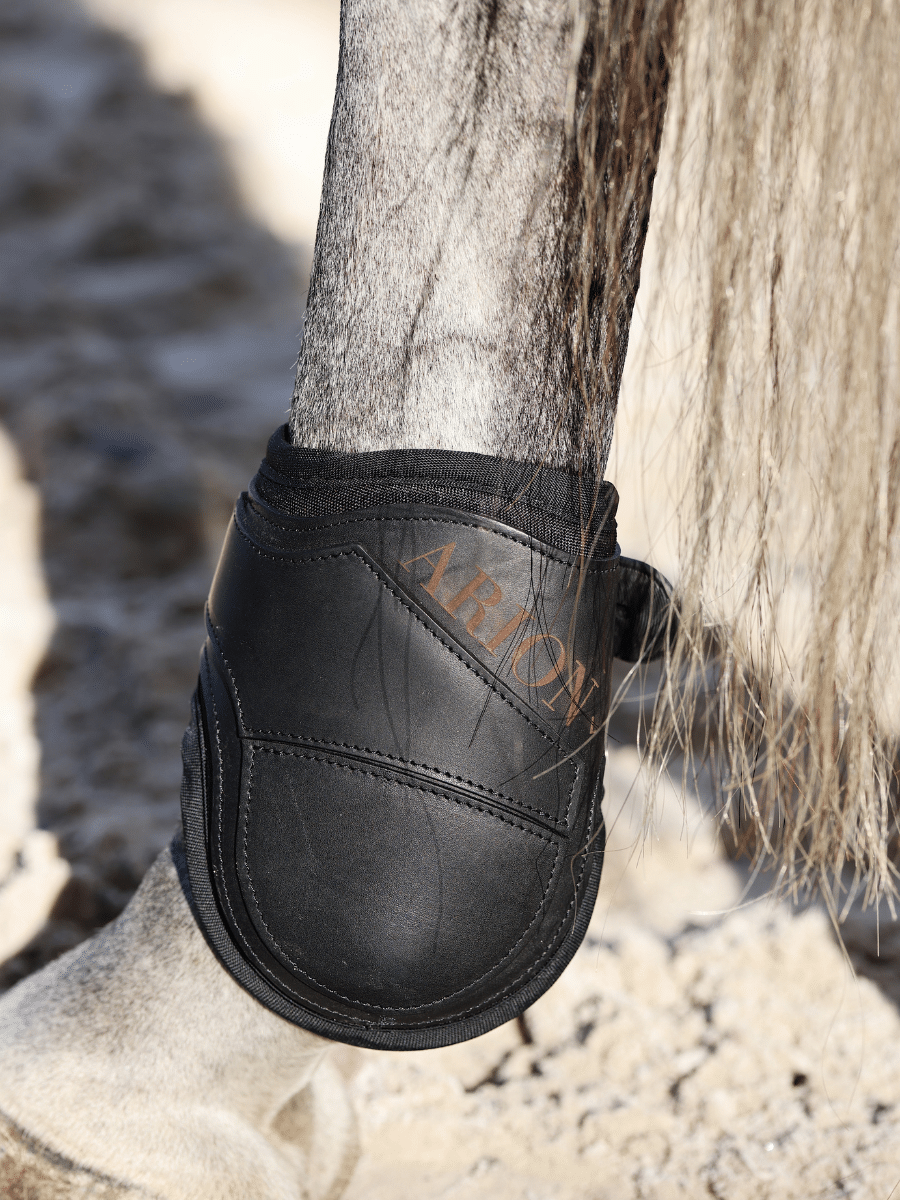 Hind Show Jumping Boots | Arion Sellier