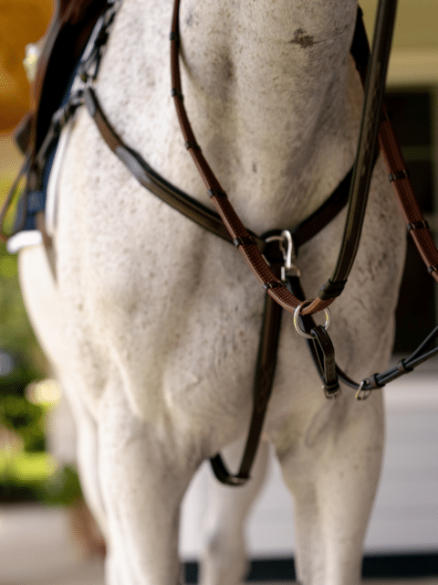 5-Point Breastplate | Arion Sellier