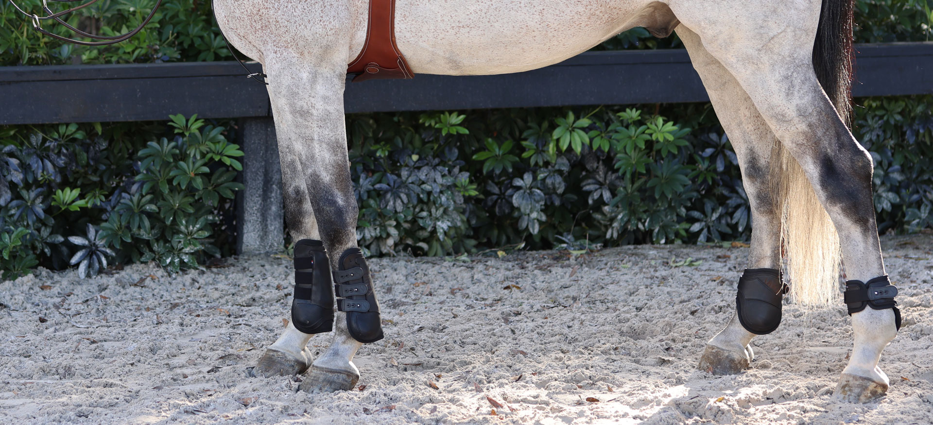 New products! Discover our ARION HST show boots!