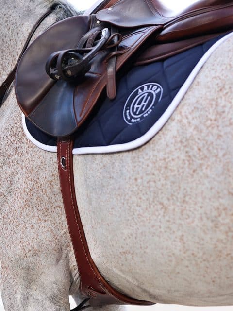 Jumping Girth with Snap Hook | Arion Sellier