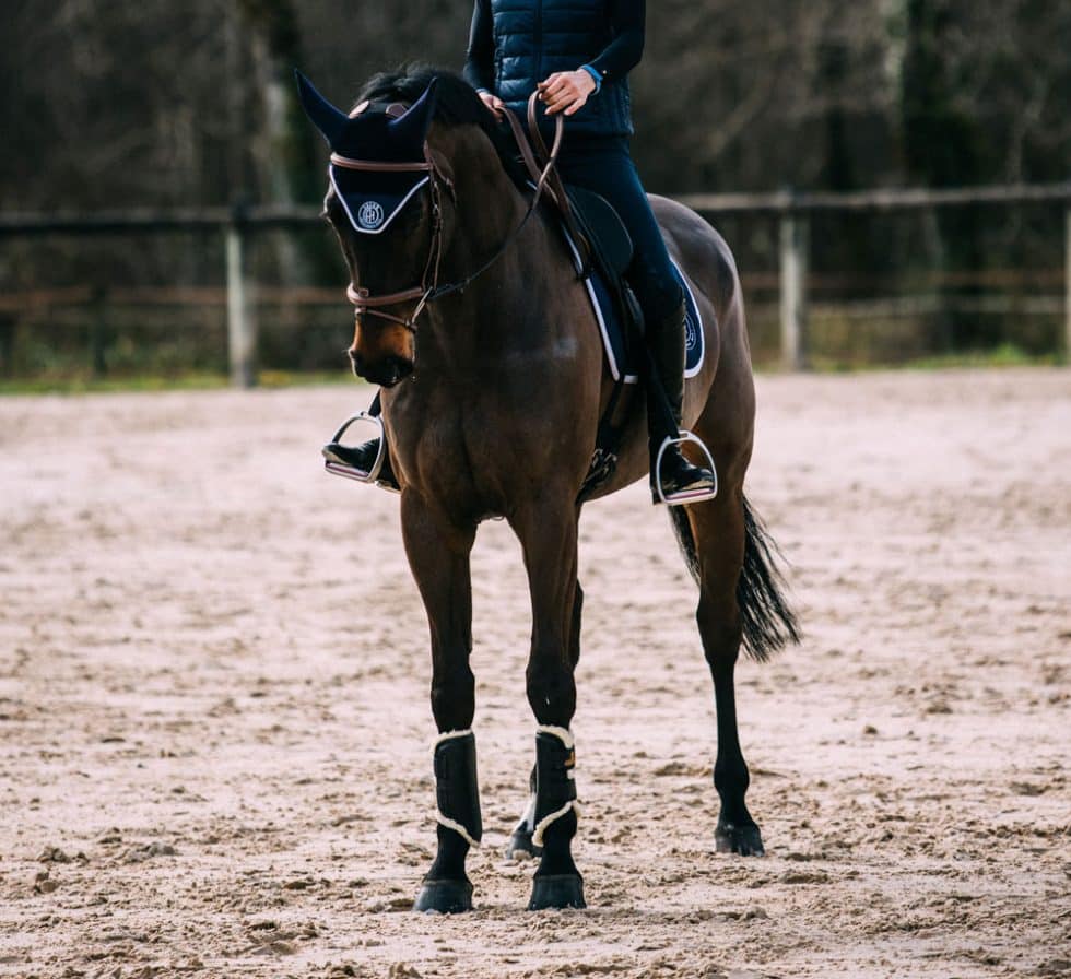 Equestrian innovation: exclusive technologies from Arion HST