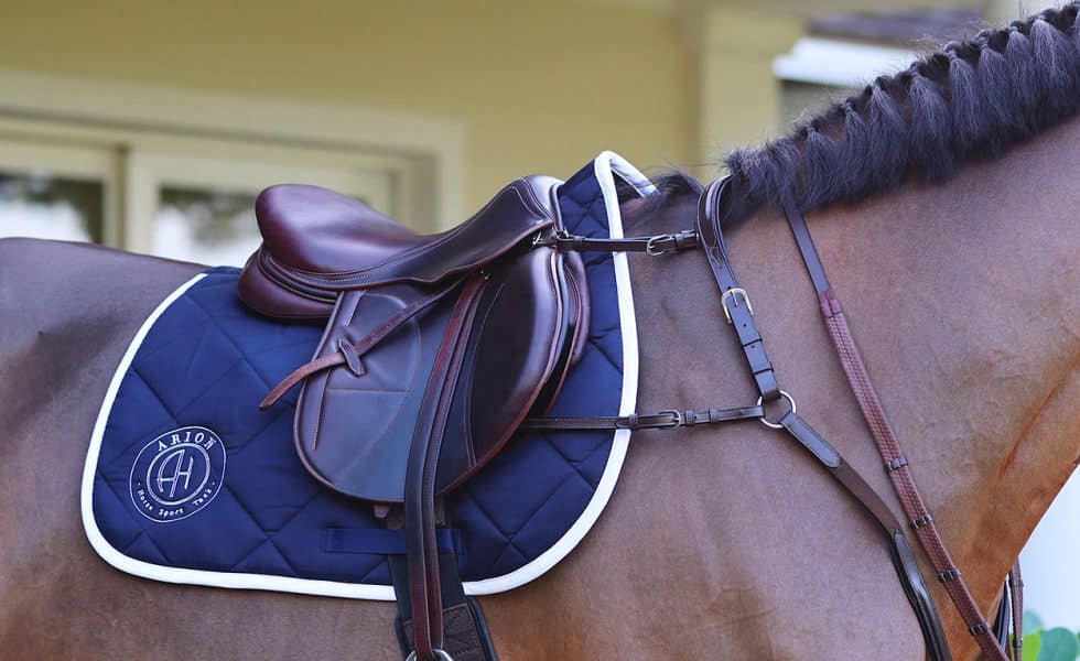 Equipment made in France for your horse! | Arion HST