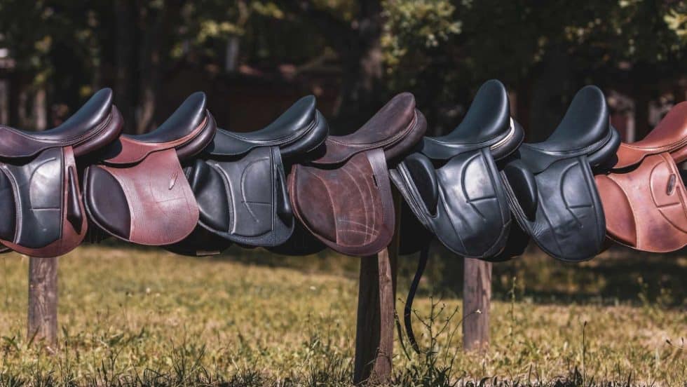 Atlas Saddle Jumping | Arion Sellier